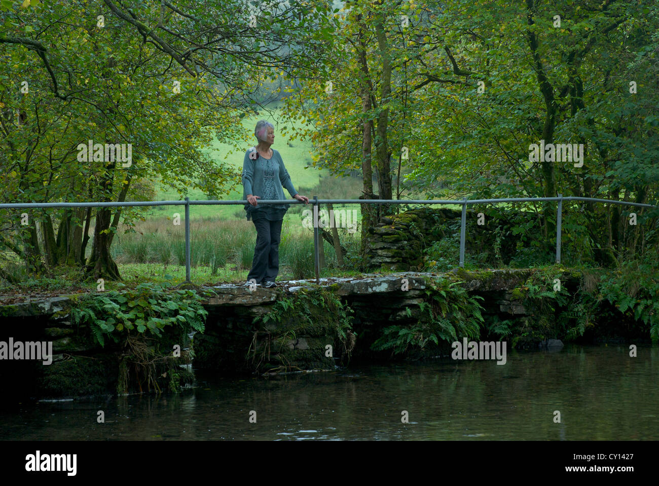 Stone Clapper Bridge Stock Photos & Stone Clapper Bridge Stock Images ...