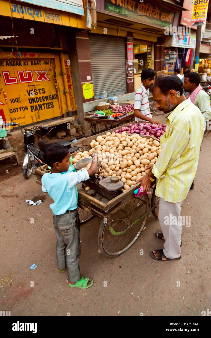 Scenery on a Market in Varanasi, India Stock Photo - Alamy