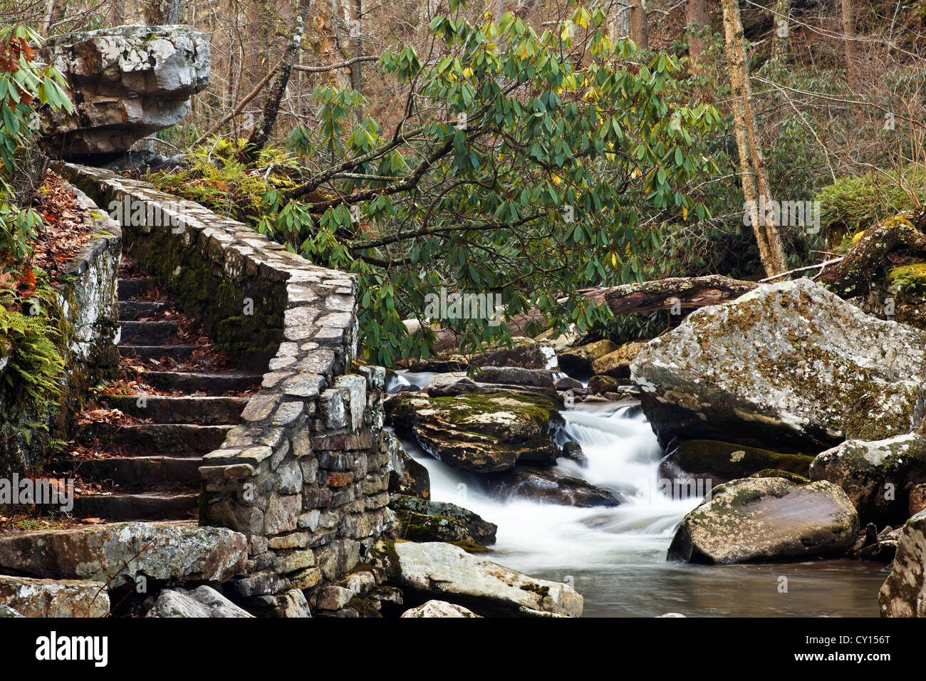 Stone trail and stairs beside Little Stony Creek on an overcast winter ...