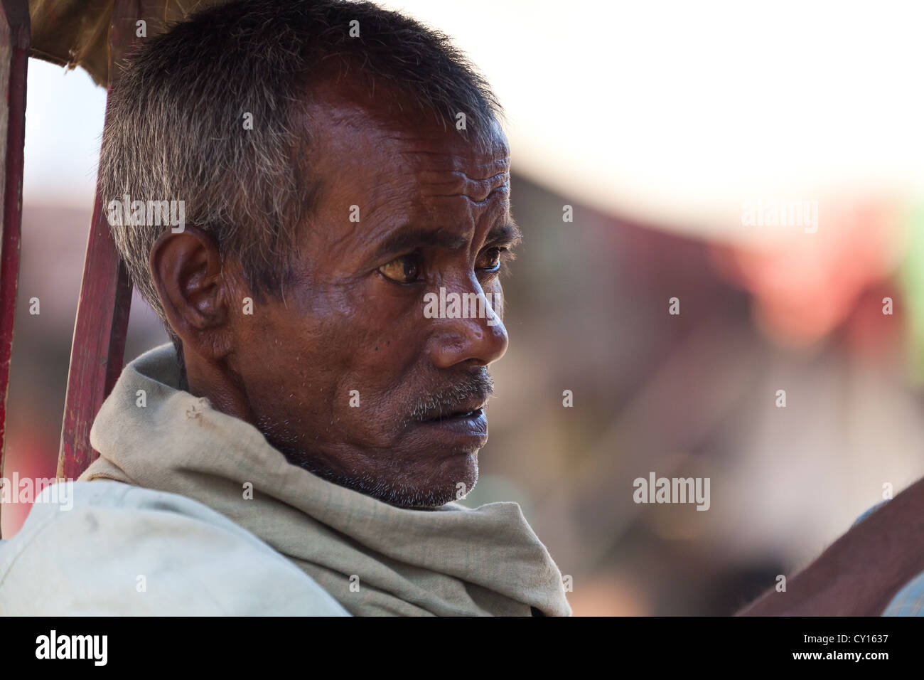 Portrait of a Man in Varanasi, India Stock Photo - Alamy