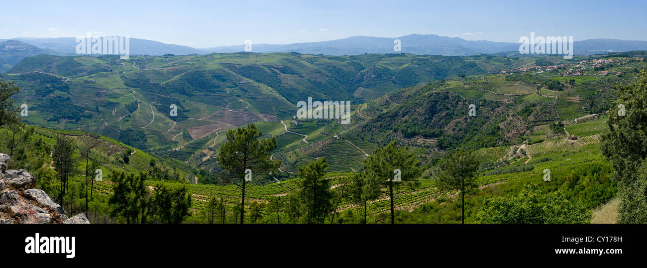 Miradouro de Gouvinhas, Sabrosa, Peso da Regua, Vale do Douro, Portugal ...
