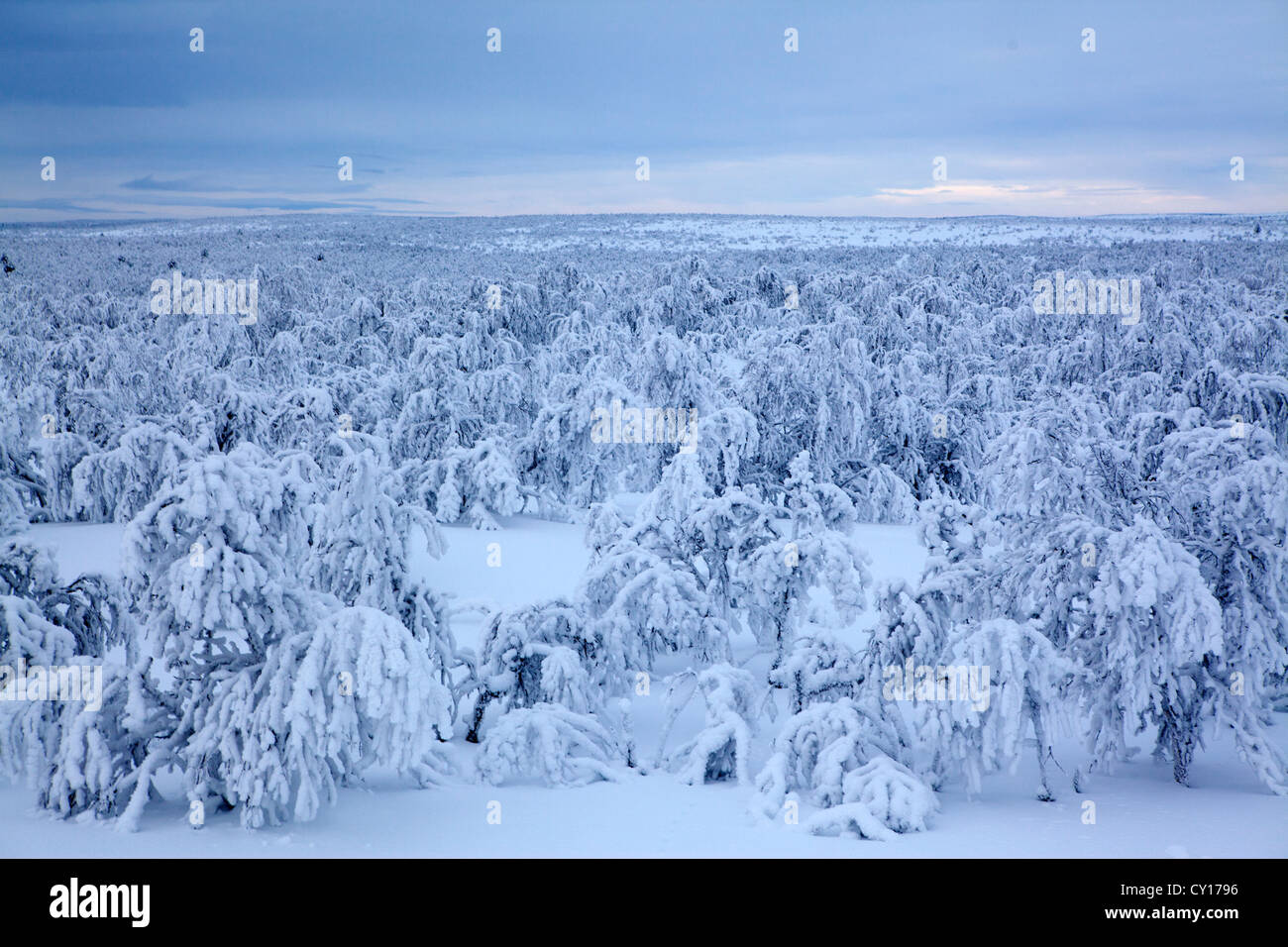 landscape of Northern Finland Stock Photo - Alamy