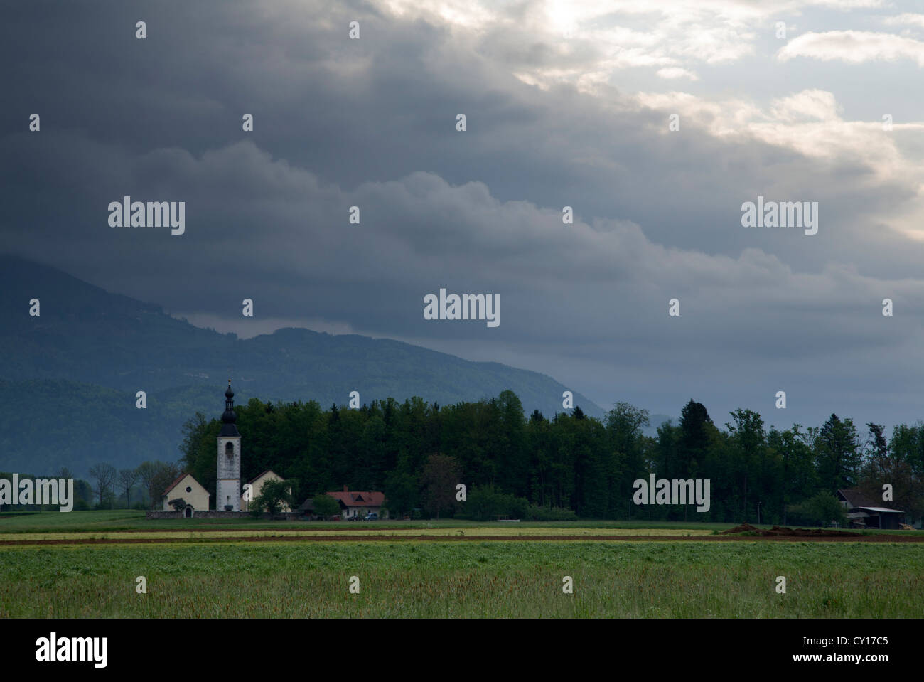 View across fields to the twin churches with a single shared spire in ...