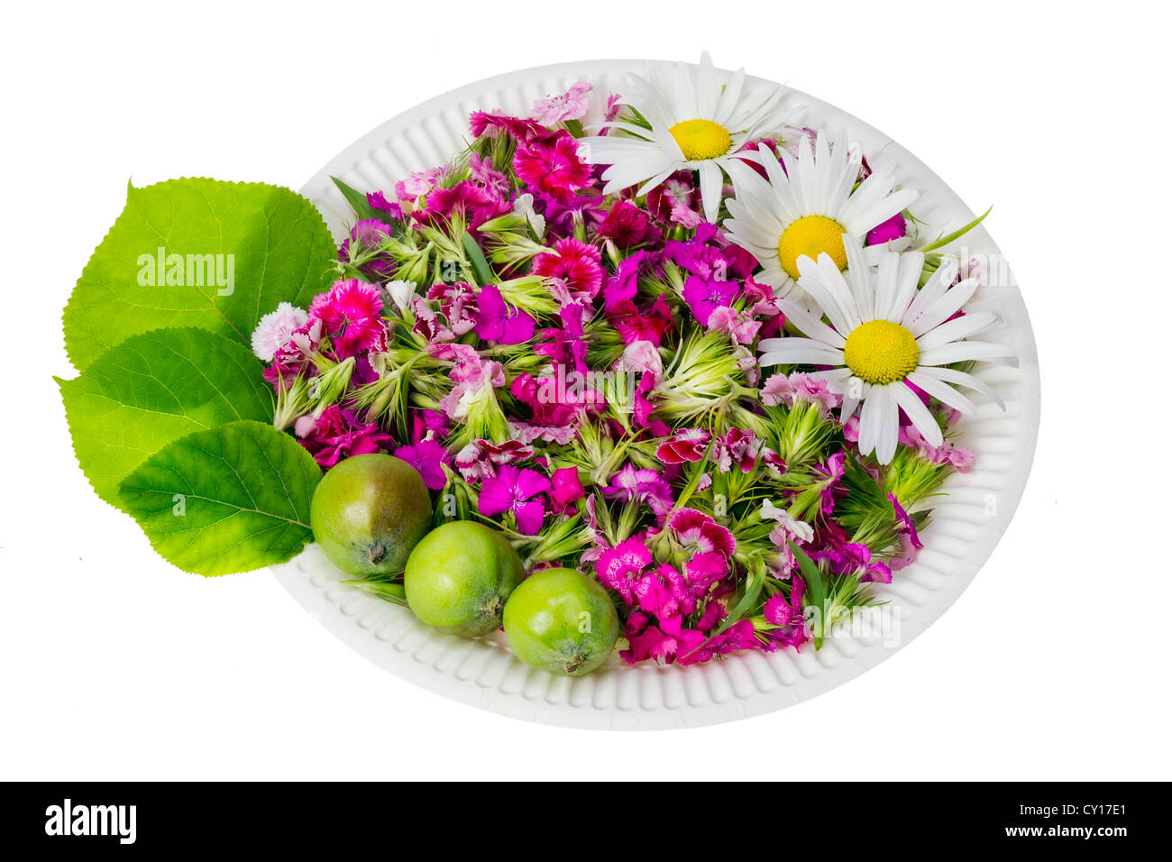 Floral nature food diet concept- paper plate with fresh flower ...