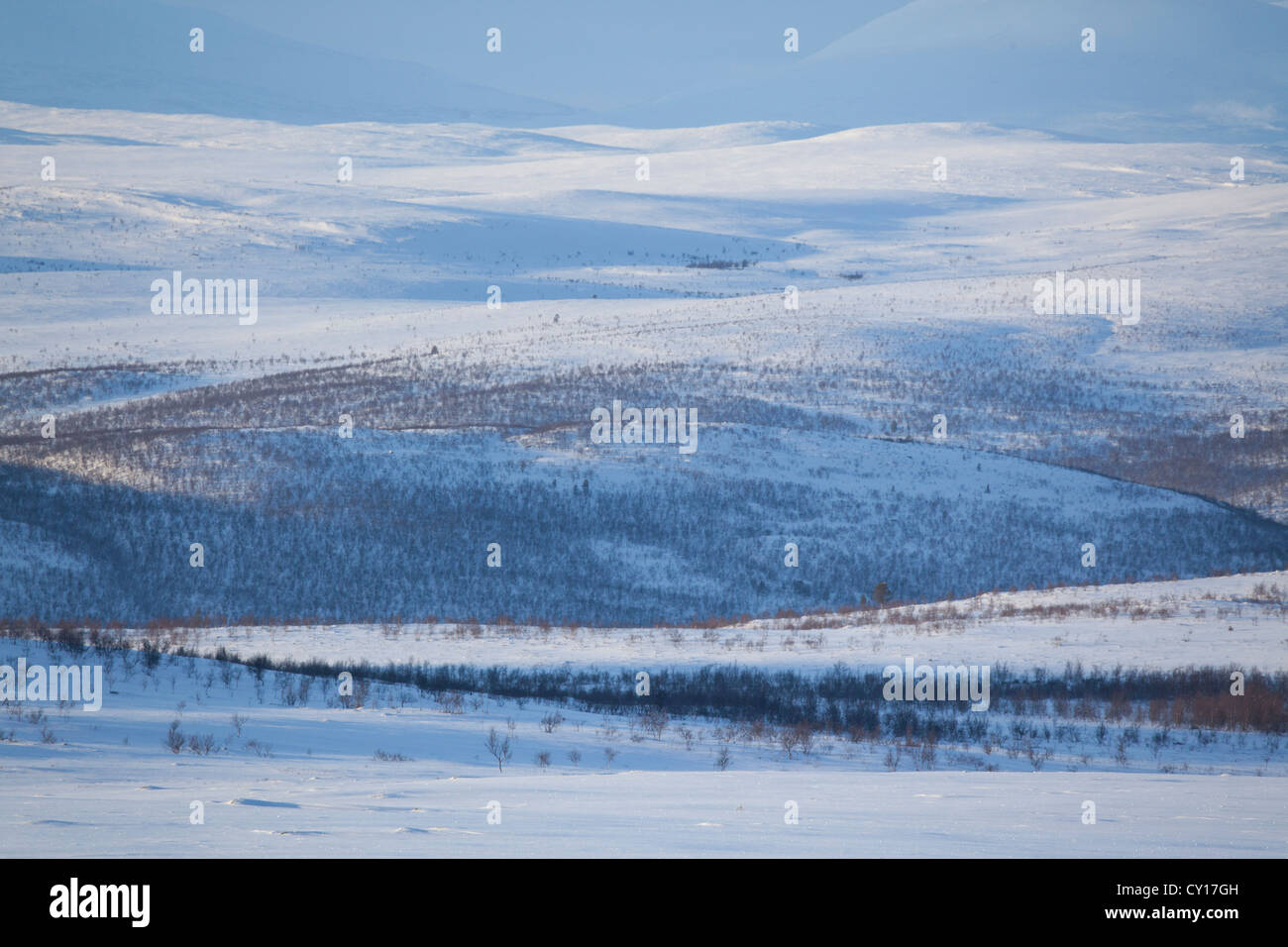 Finland winter trees hi-res stock photography and images - Alamy