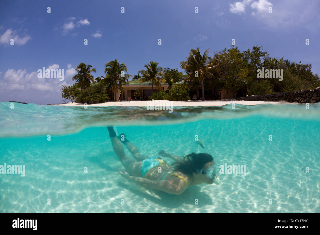 Snorkeling in Lagoon, Eriyadu, North Male Atoll, Maldives Stock Photo ...