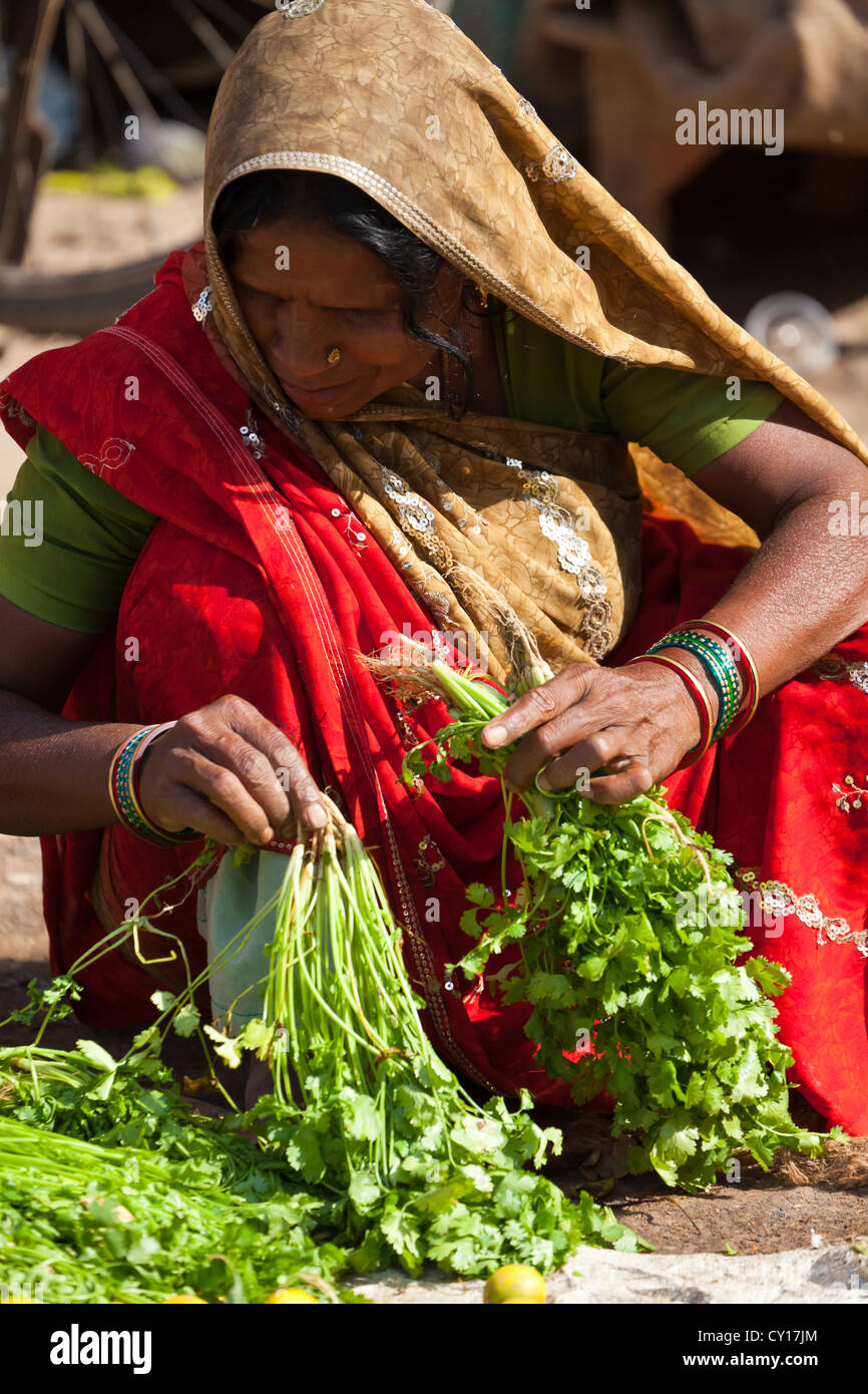 Indian Woman on a Market in Varanasi, India Stock Photo - Alamy