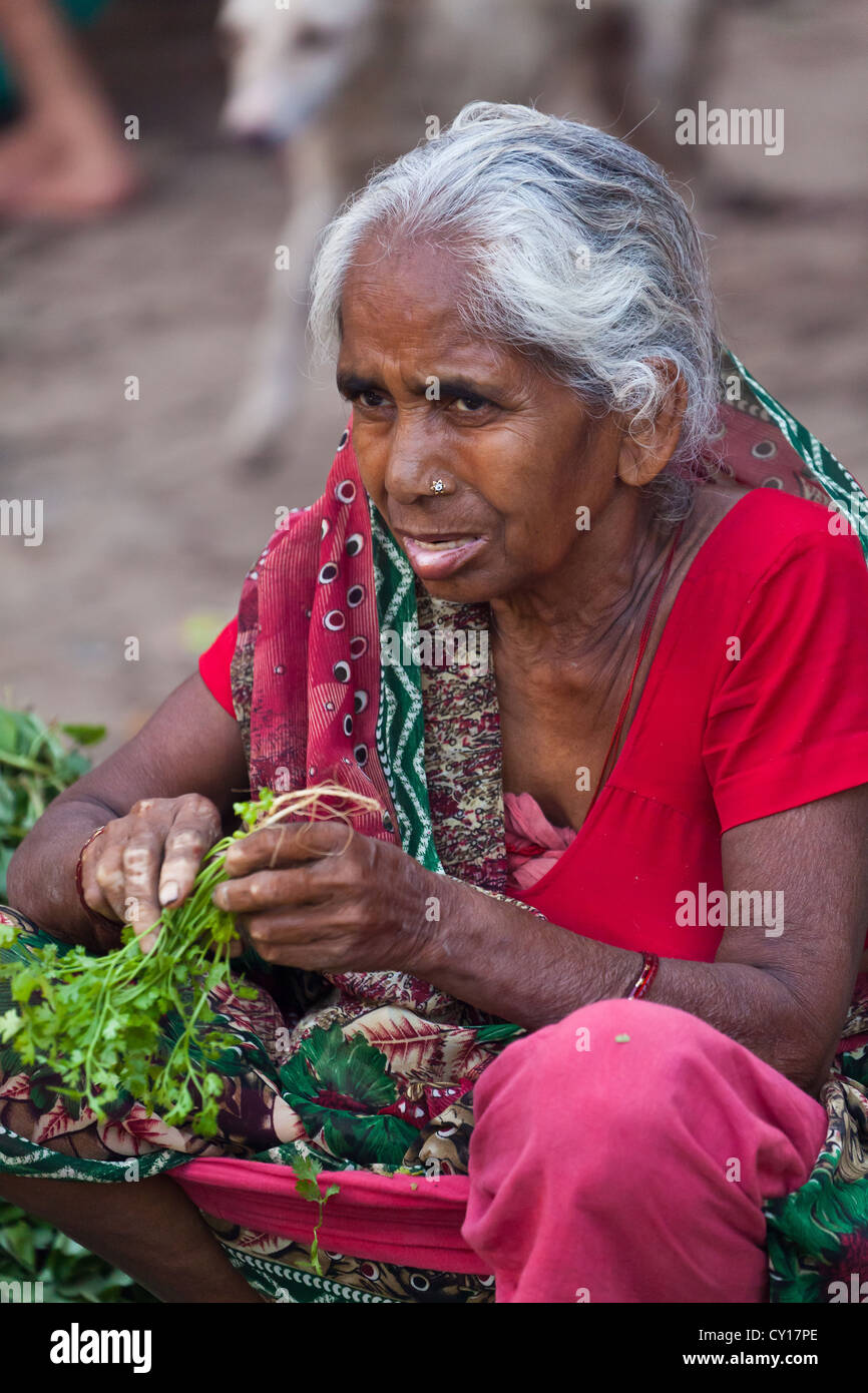 Portrait of an indian woman in a local market hi-res stock photography ...