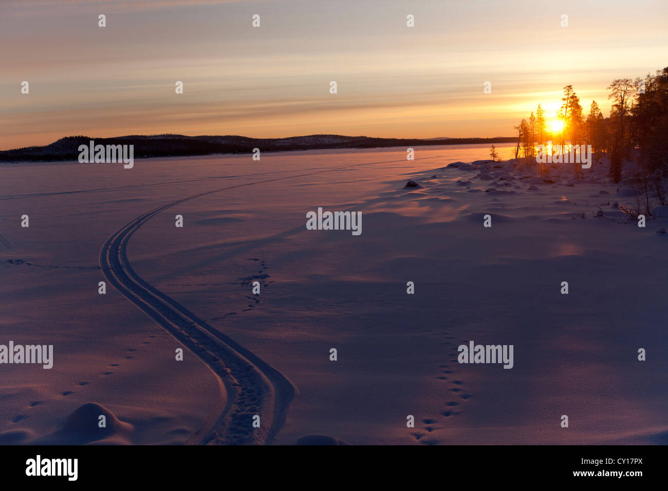 Finland forest hi-res stock photography and images - Alamy