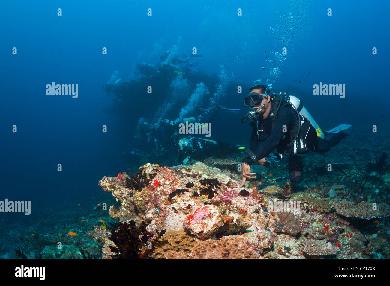 Underwater current hi-res stock photography and images - Alamy
