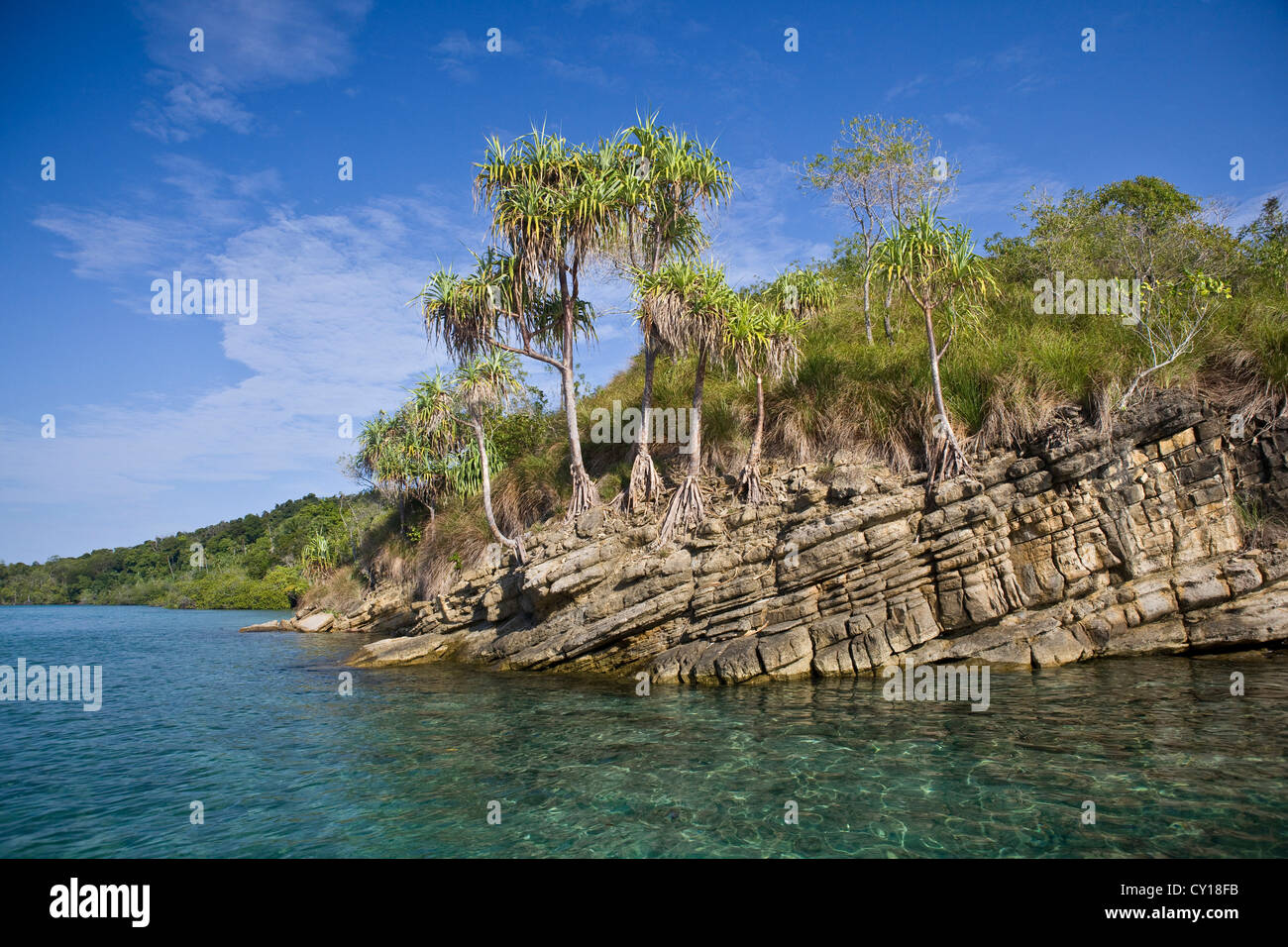Misool hi-res stock photography and images - Alamy