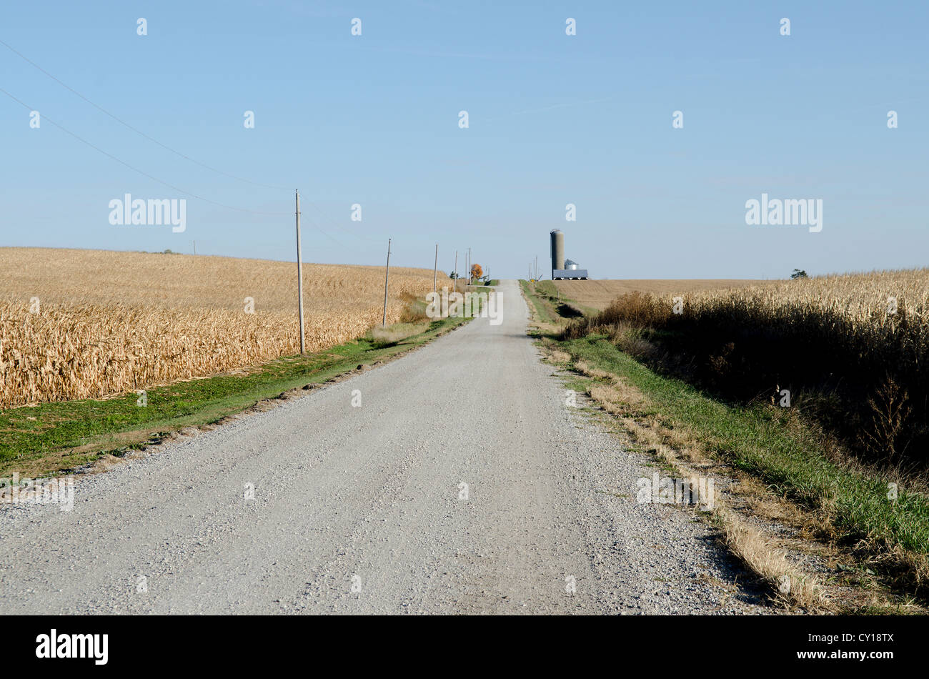 American Road and Corn Fields Stock Photo - Alamy
