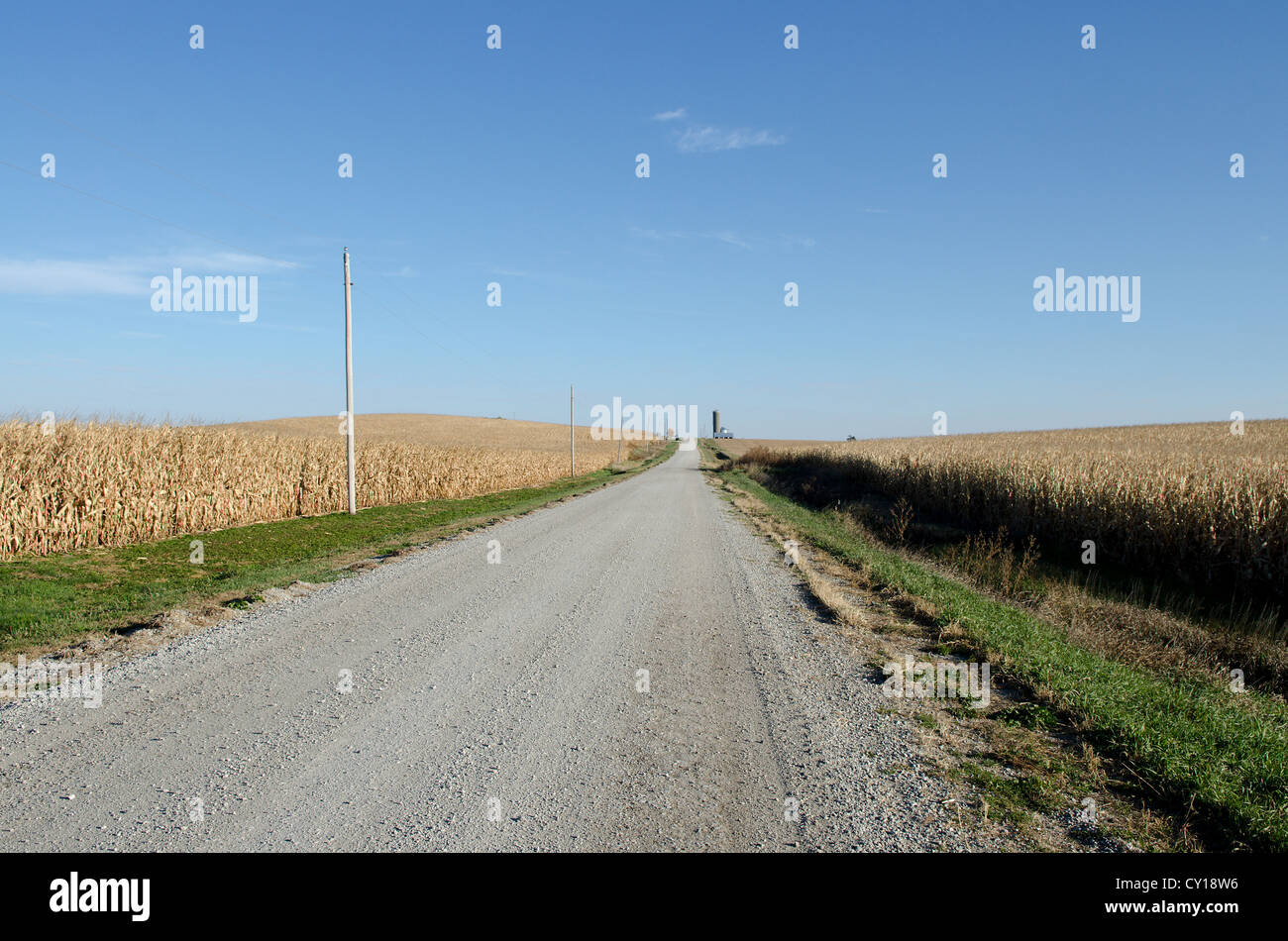 American Road and Corn Fields Stock Photo - Alamy