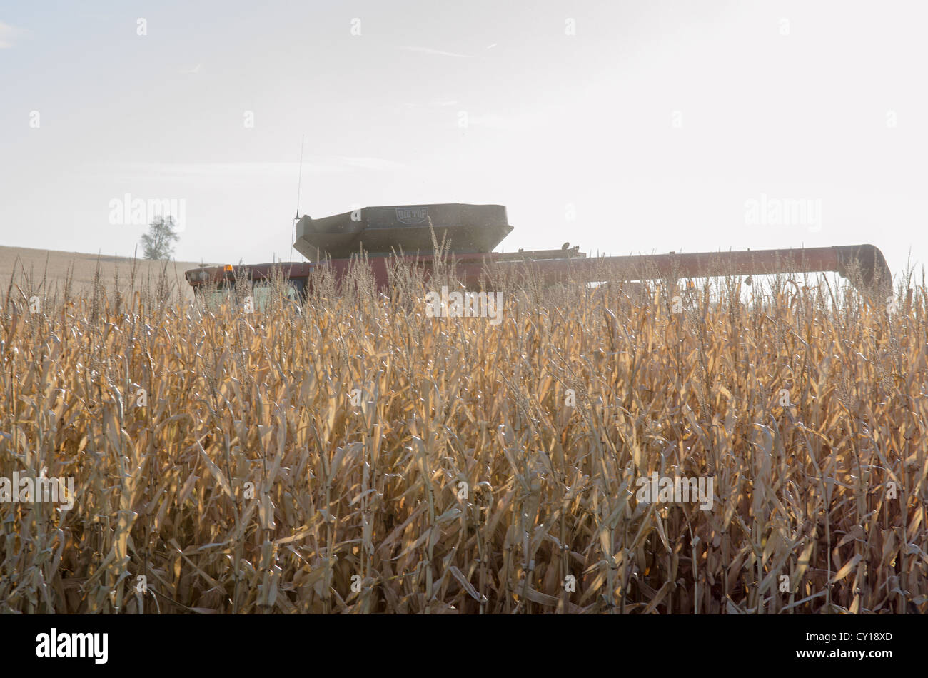 Tractor harvesting american field hi-res stock photography and images ...