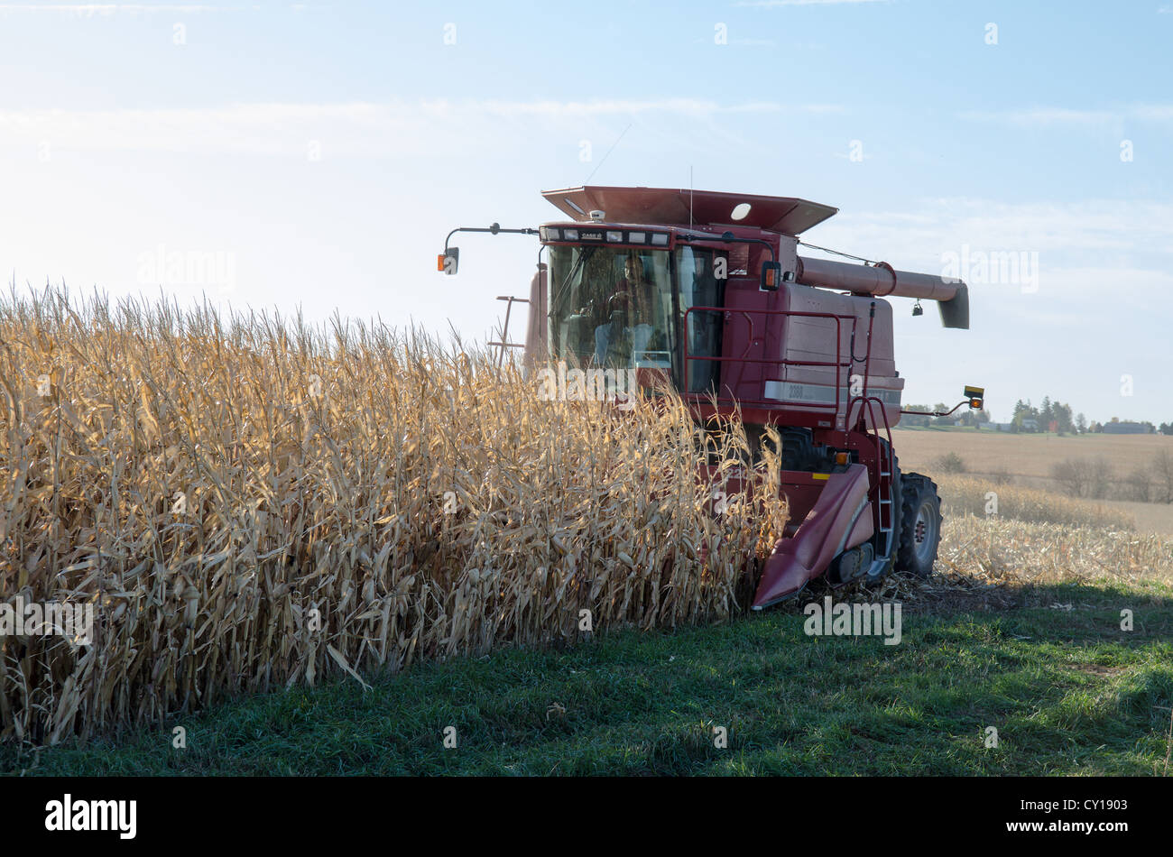 Tractor Harvesting American Field Stock Photo - Alamy