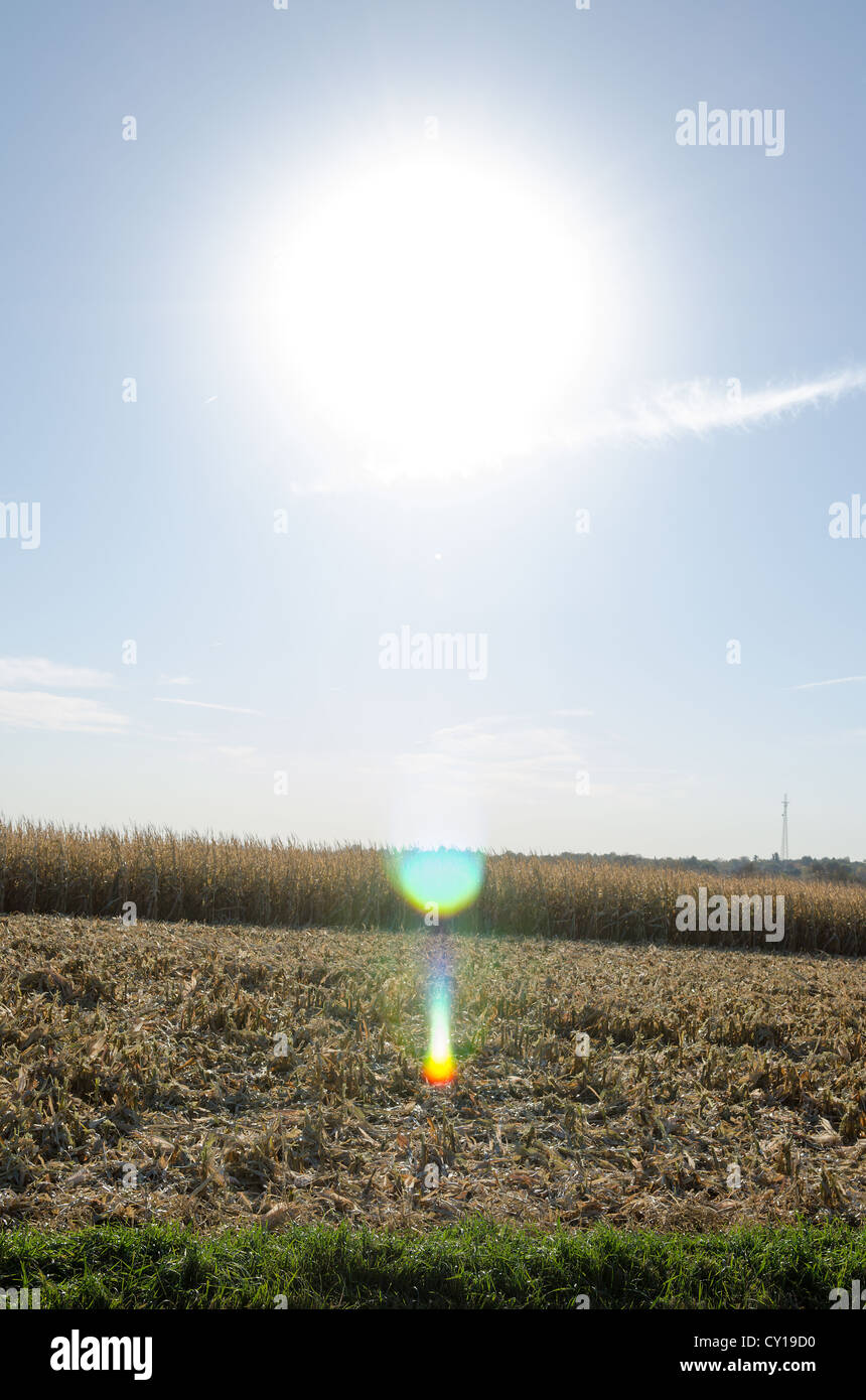 American Corn Fields Stock Photo - Alamy