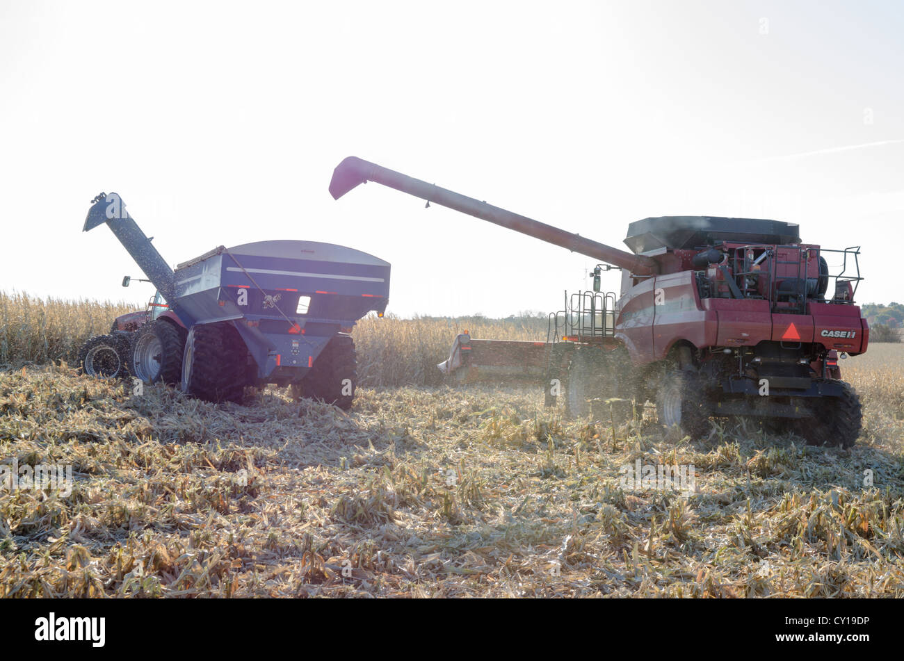 Two Tractors Harvesting American Field Stock Photo - Alamy