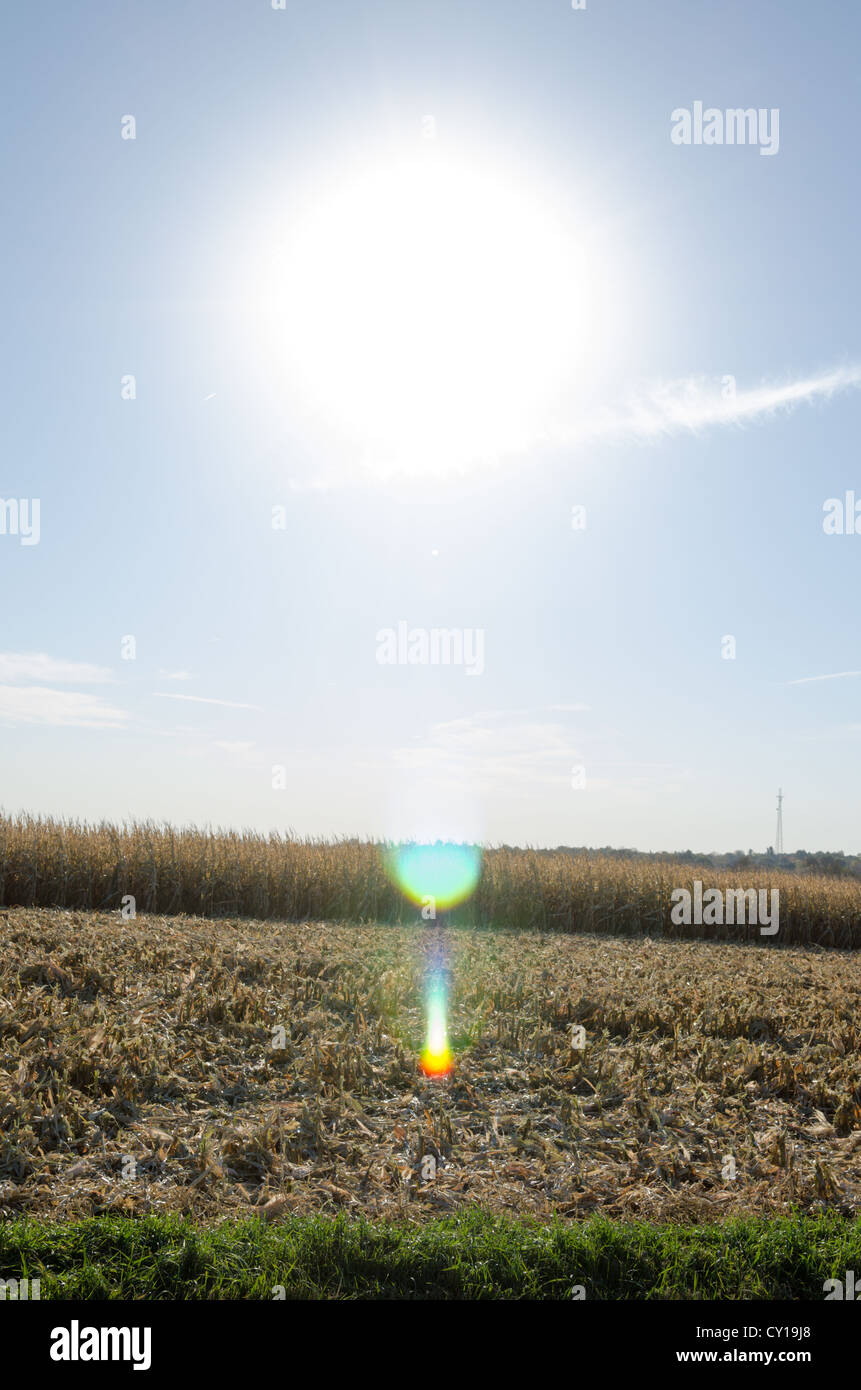 Corn fields usa hi-res stock photography and images - Alamy