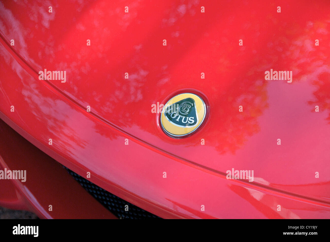 Lotus car details ,logo Stock Photo - Alamy