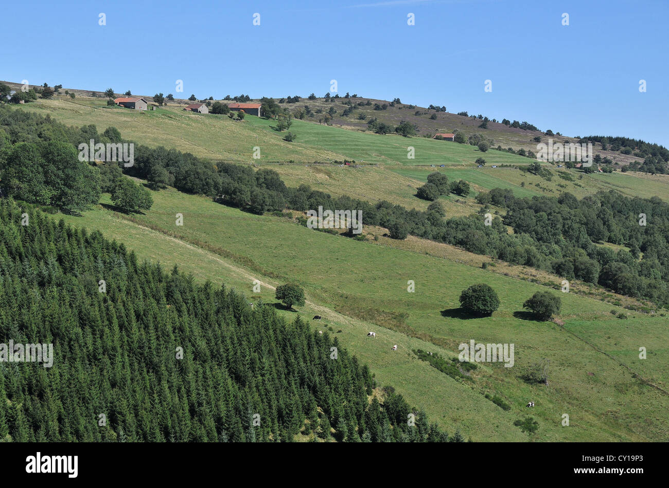 mountain landscape Livradois Forez Auvergne France Stock Photo - Alamy