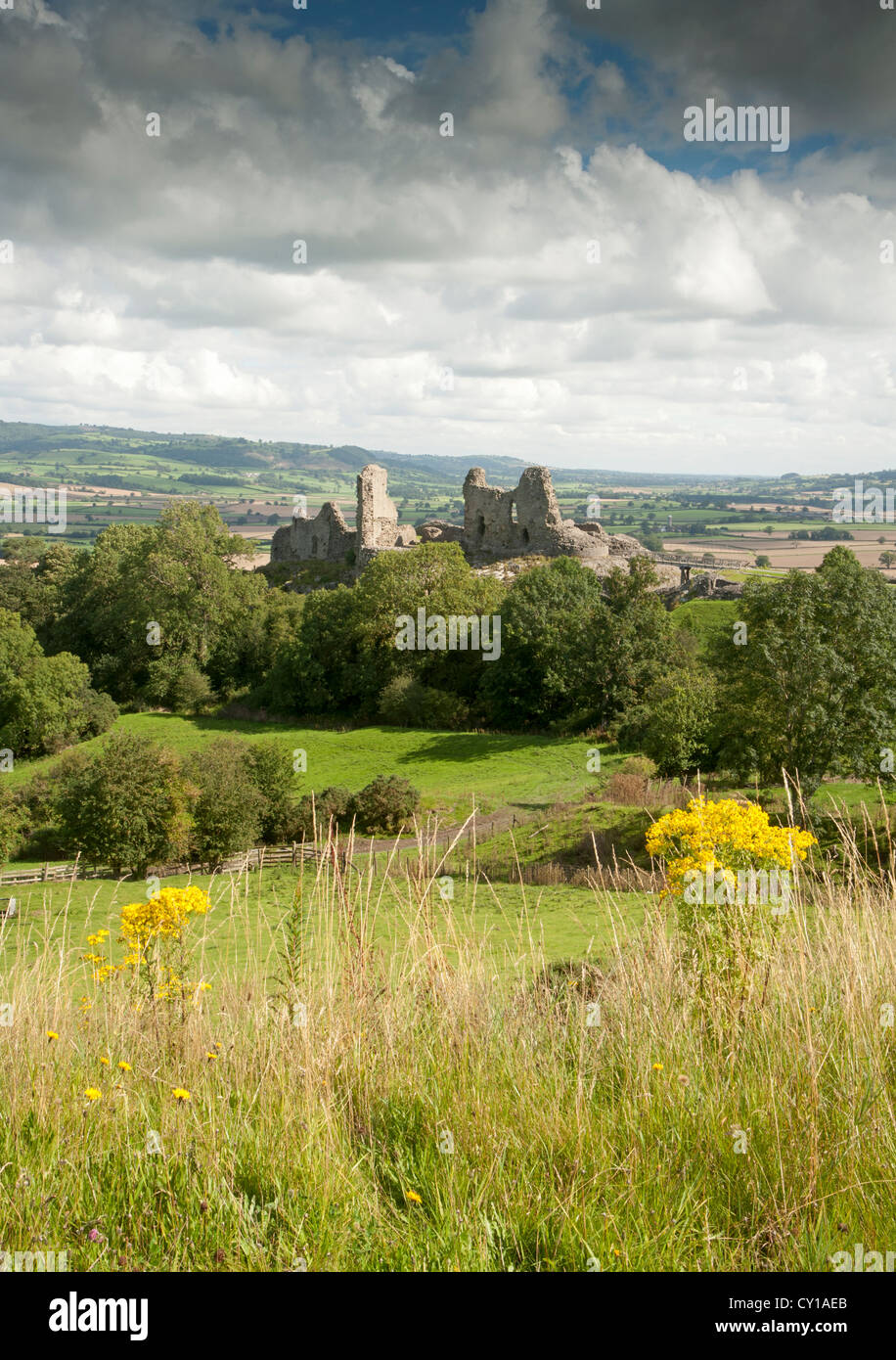 Hen domen hi-res stock photography and images - Alamy