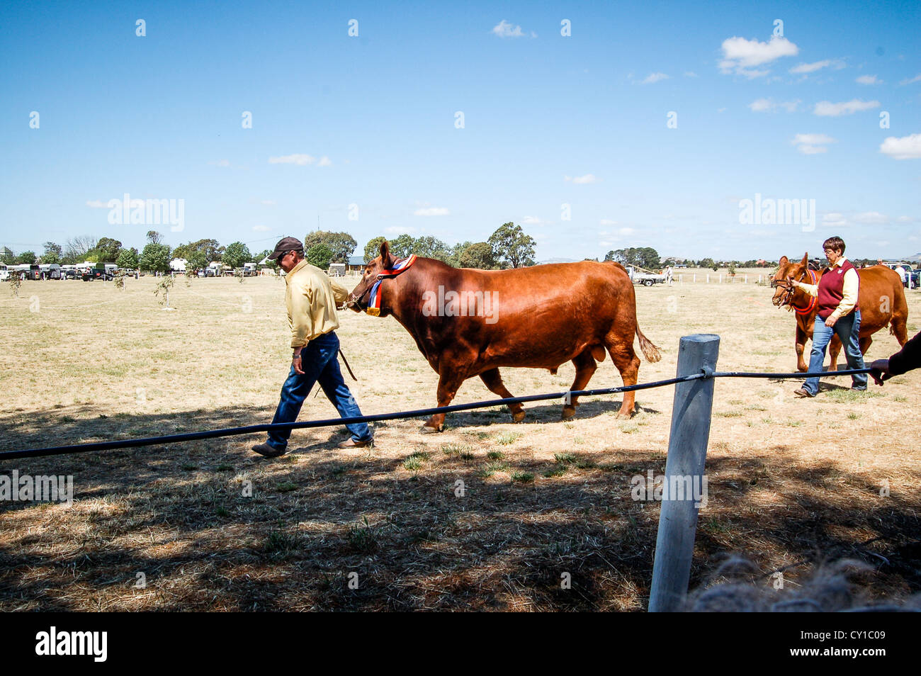 Clunes australia hi-res stock photography and images - Alamy