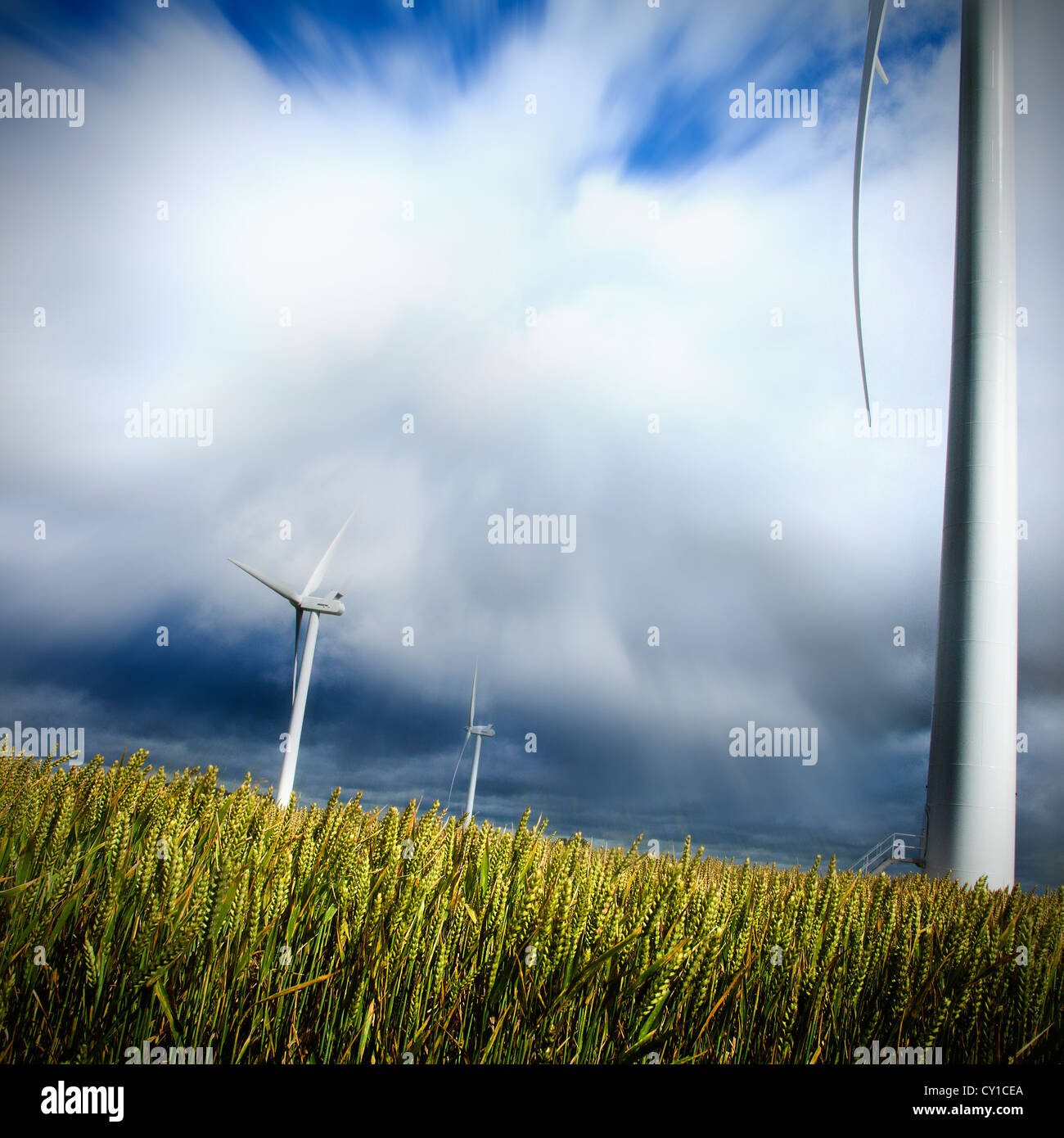 Wind Farm in Market Weighton England Renewable energy Stock Photo - Alamy