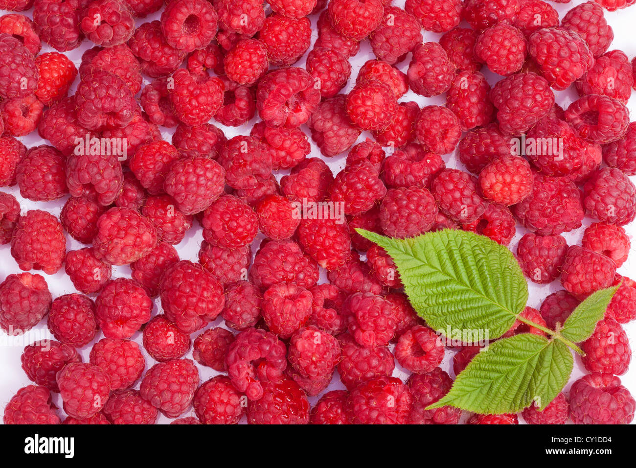ripe raspberry scattered on white background Stock Photo - Alamy