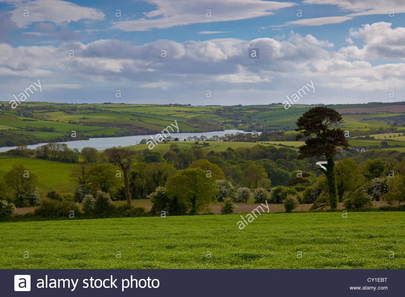 Sheen river hi-res stock photography and images - Alamy