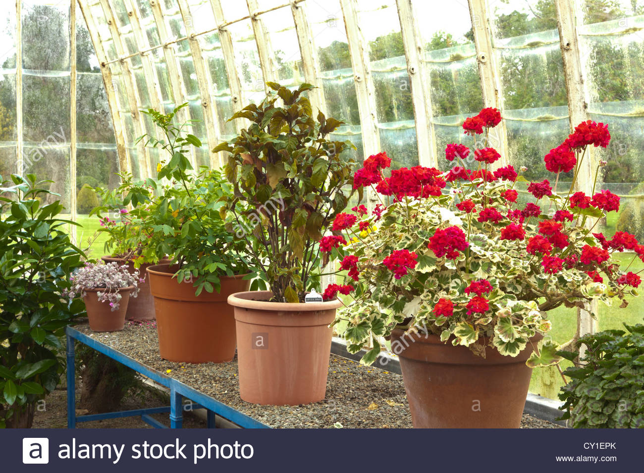 Muckross house interior hi-res stock photography and images - Alamy