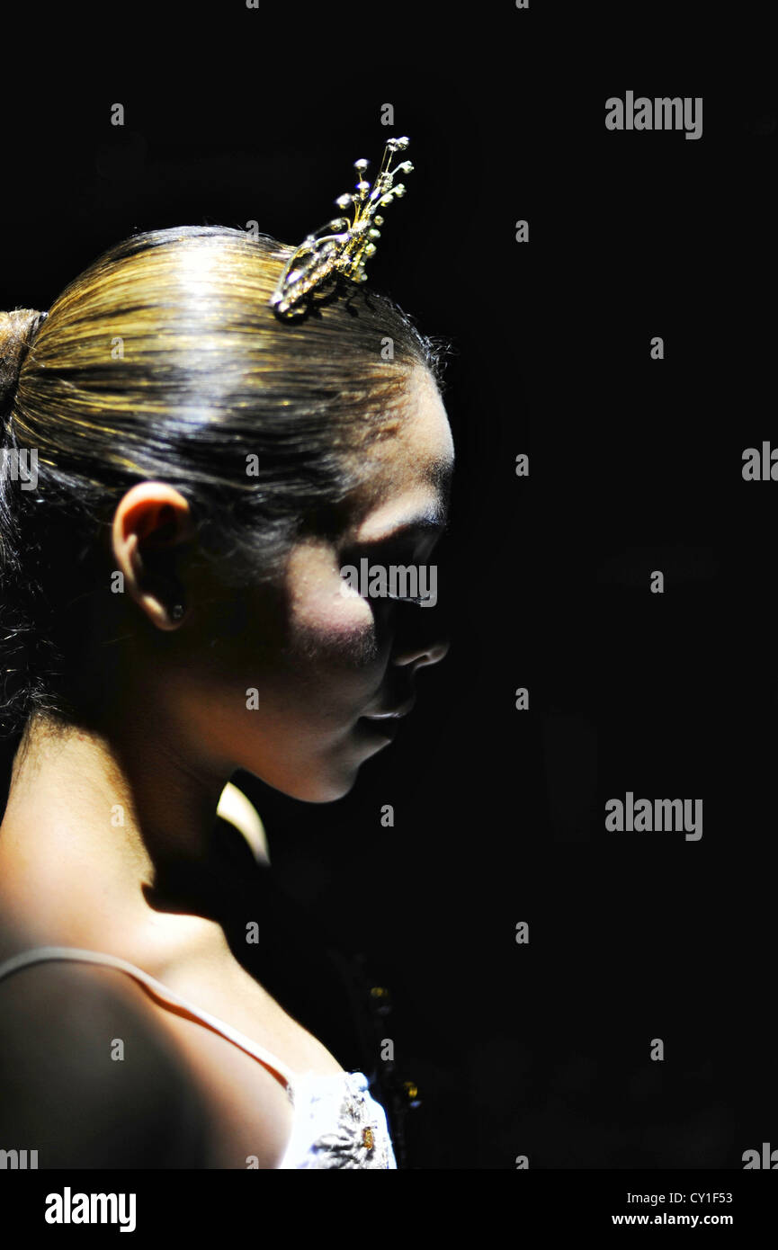 Anatomy of a dancer hi-res stock photography and images - Alamy