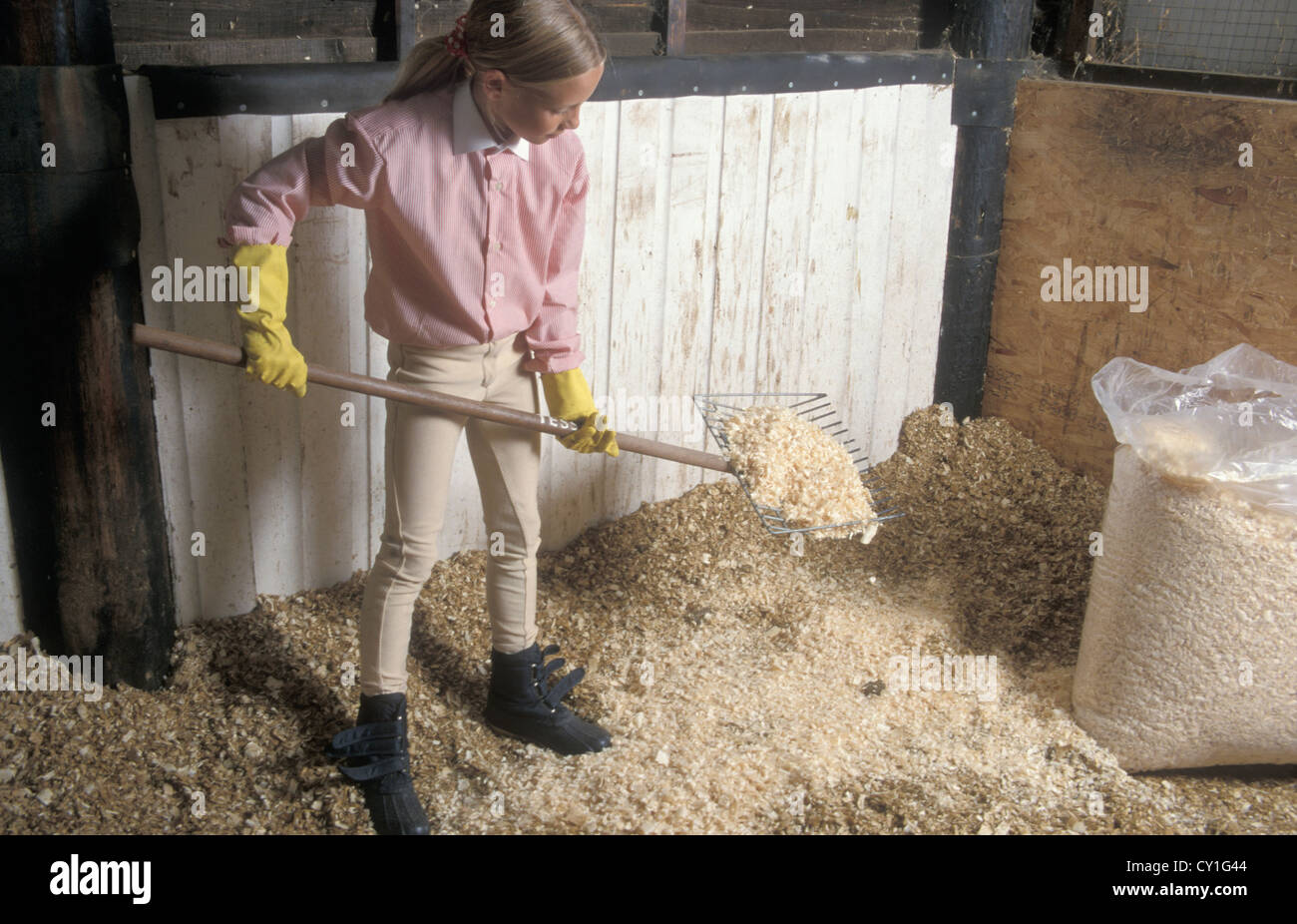 young girl cleaning out stable Stock Photo - Alamy