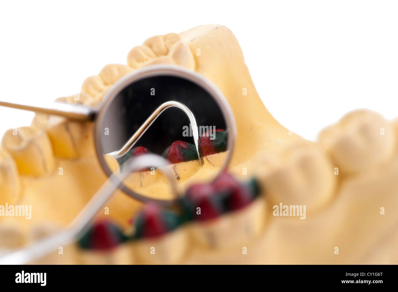 Denture cast model and dental tools Stock Photo - Alamy