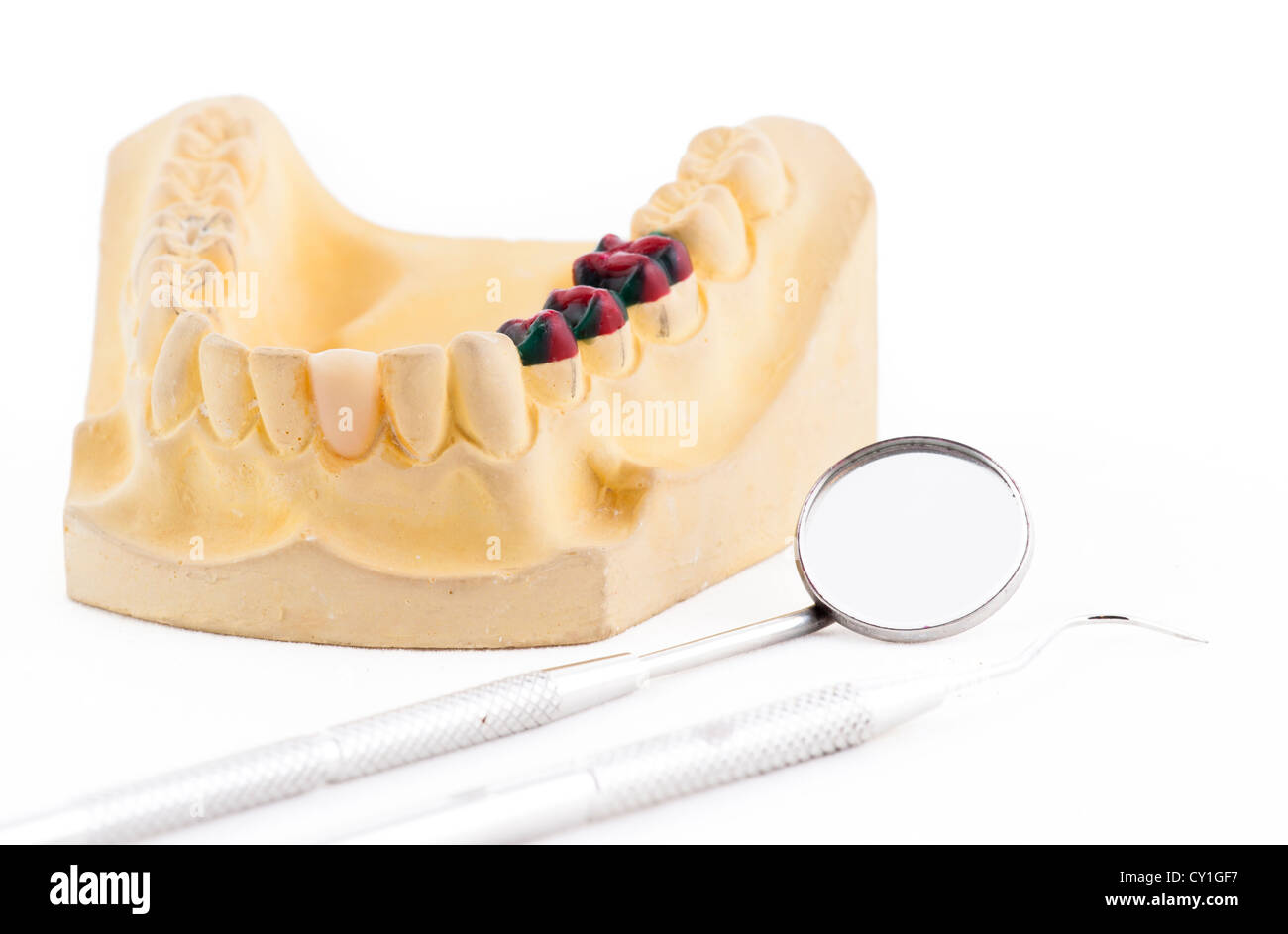 Denture cast model and dental tools Stock Photo - Alamy