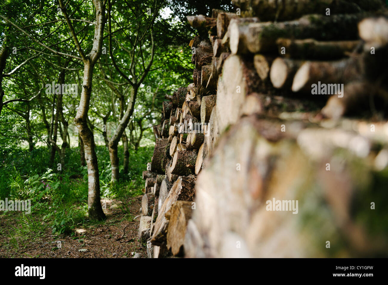 Stack logs chopped trees hi-res stock photography and images - Alamy