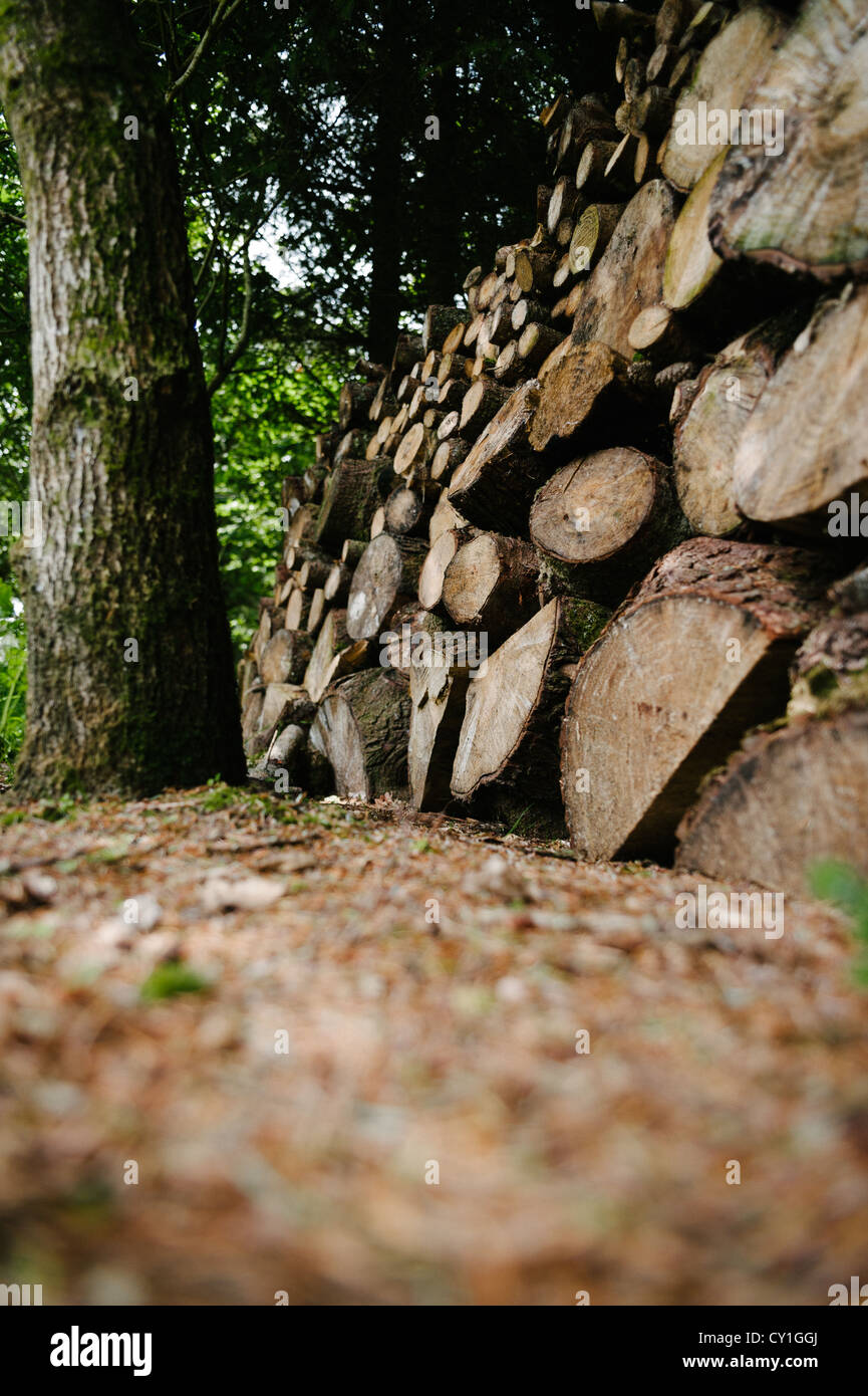 A stack of trees that have been cut down Stock Photo - Alamy