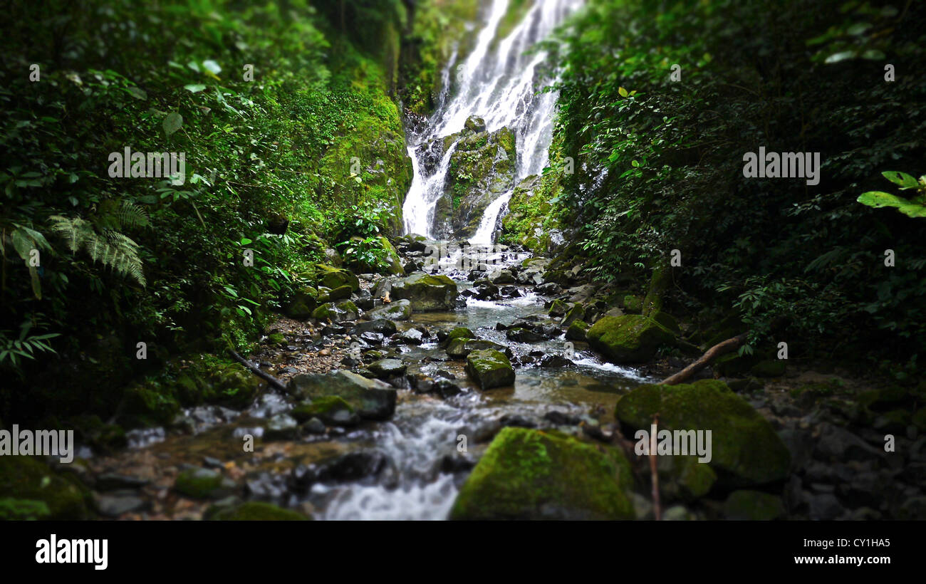 El chorro waterfall hi-res stock photography and images - Alamy