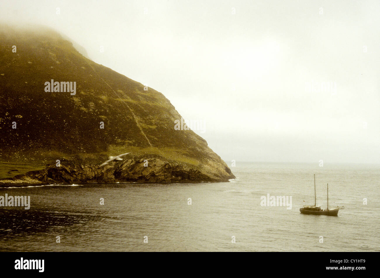 Towering Cliffs,Skies full of Sea birds,Scuba Diving,Seals,Subterranean ...