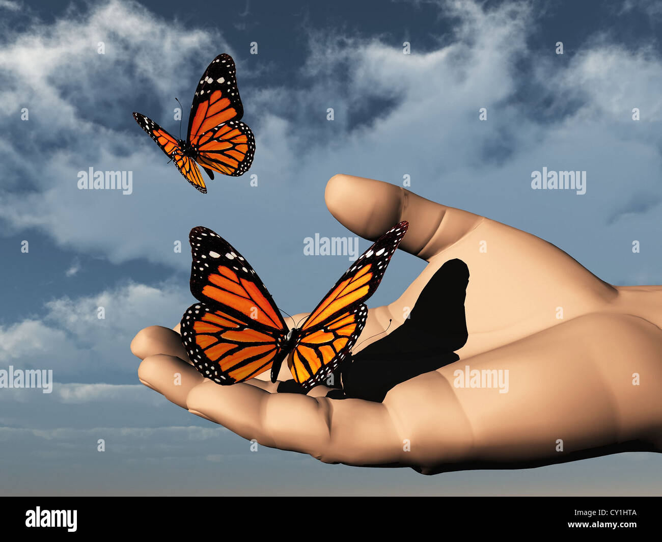 a beautifull colored butterfly in the hand Stock Photo - Alamy
