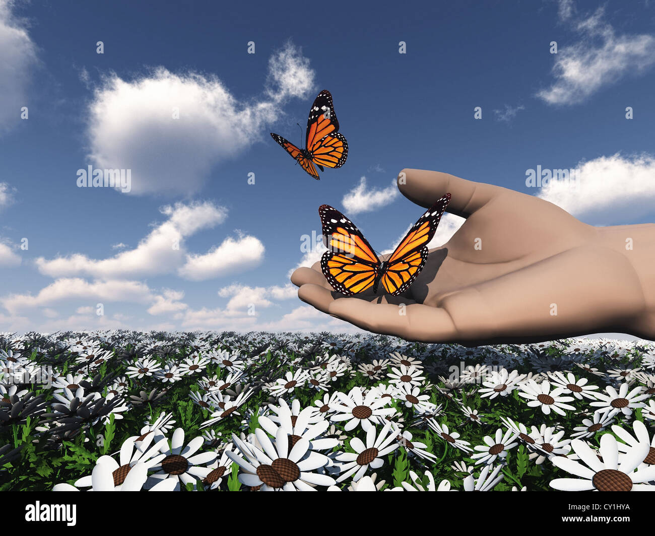 the beautiful butterfly in the hand Stock Photo - Alamy