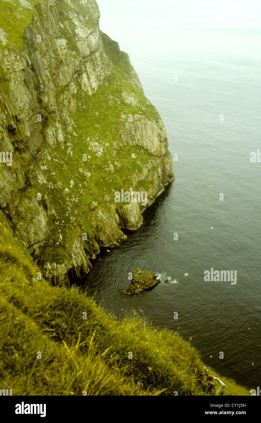 Towering Cliffs,Skies full of Sea birds,Scuba Diving,Seals,Subterranean ...