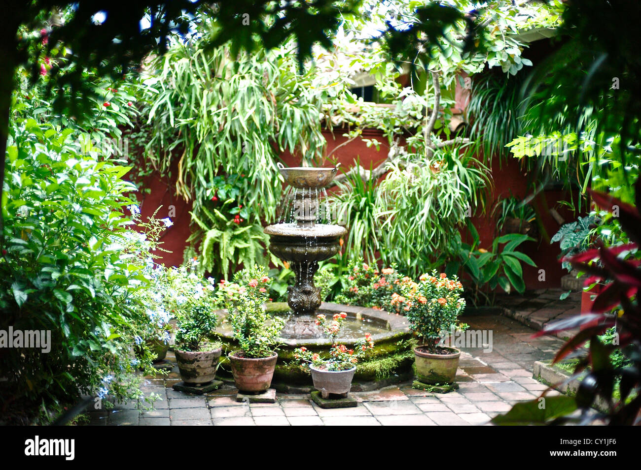 Typical Colombian patio from the Antioquia Region Stock Photo - Alamy