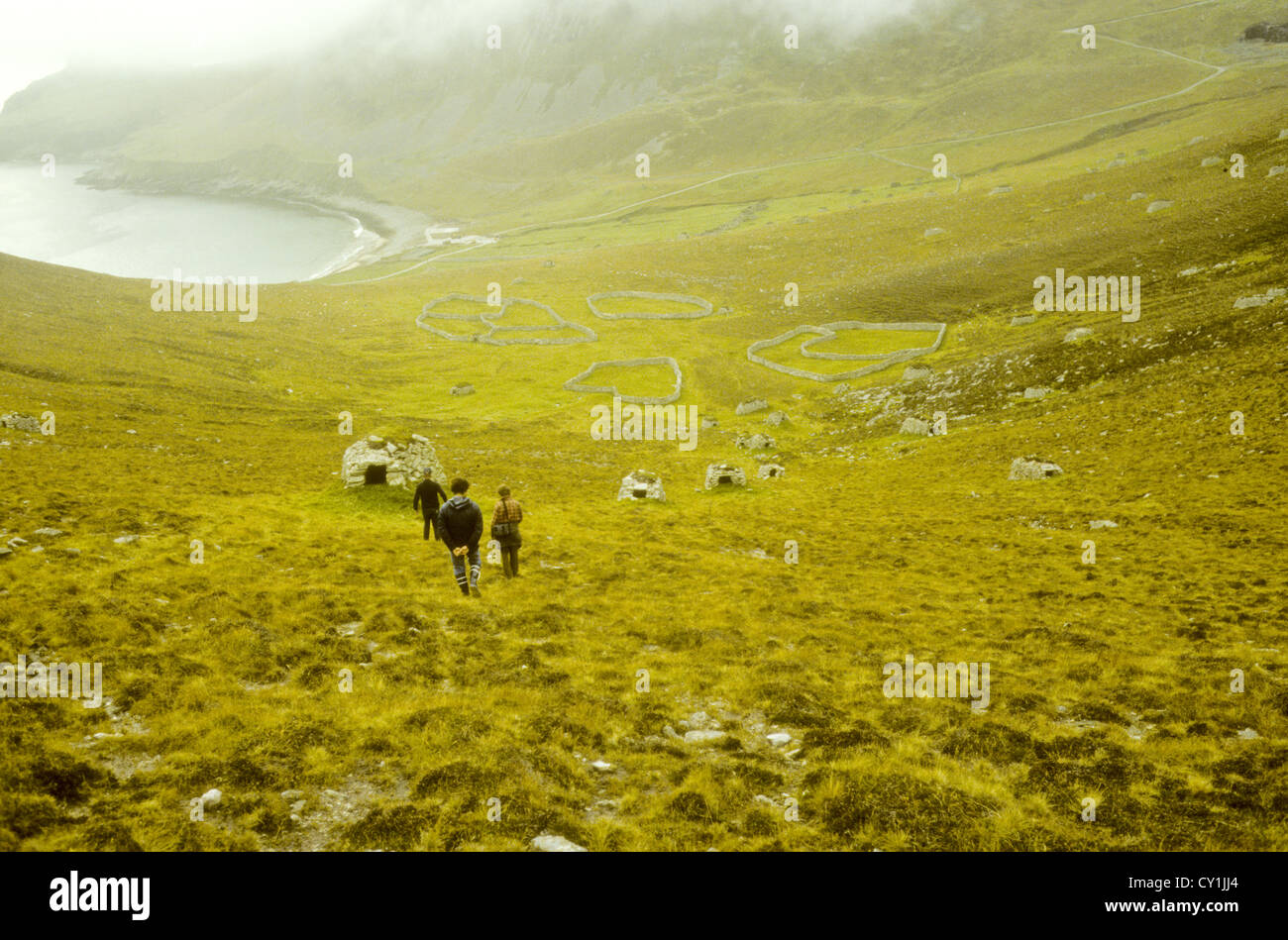 Towering Cliffs,Skies full of Sea birds,Scuba Diving,Seals,Subterranean ...