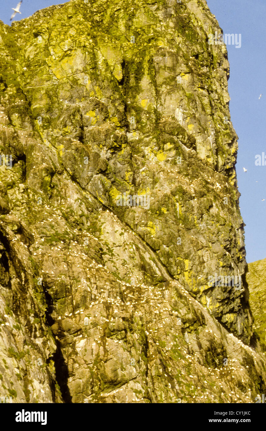 Towering Cliffs,Skies full of Sea birds,Scuba Diving,Seals,Subterranean ...