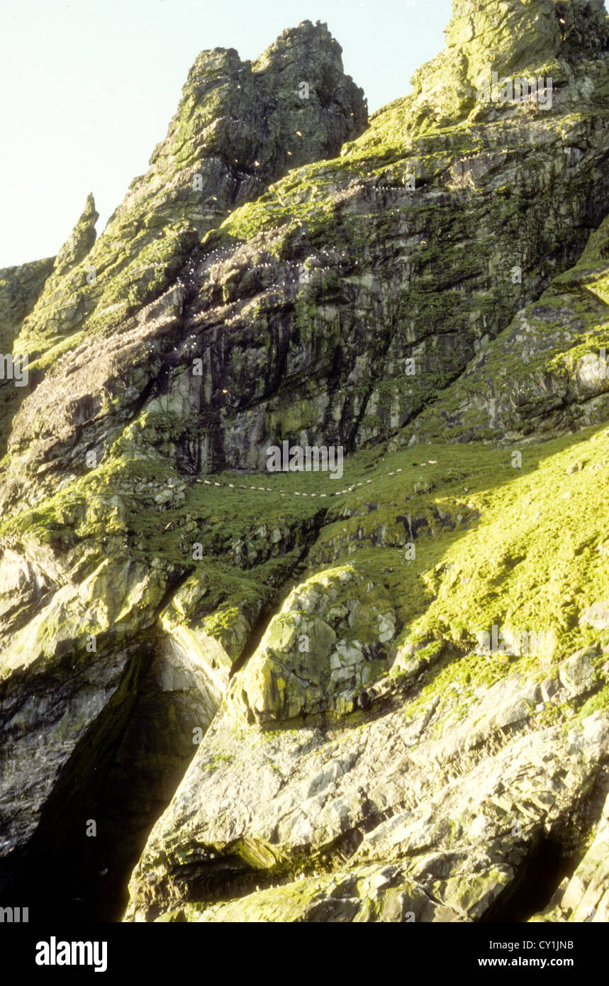 Towering Cliffs,Skies full of Sea birds,Scuba Diving,Seals,Subterranean ...