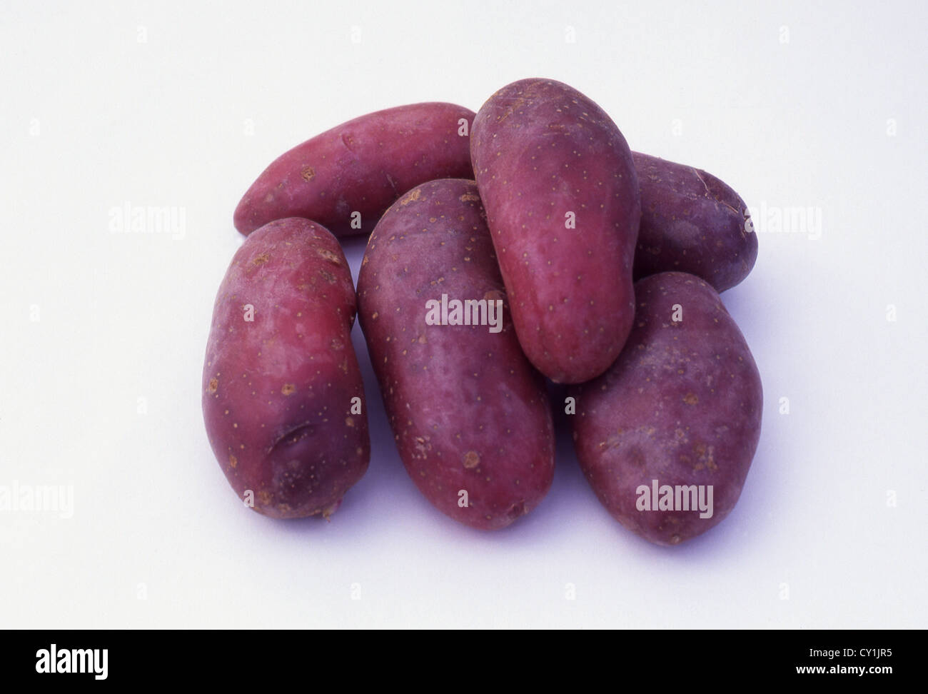 Tuber variety hi-res stock photography and images - Alamy