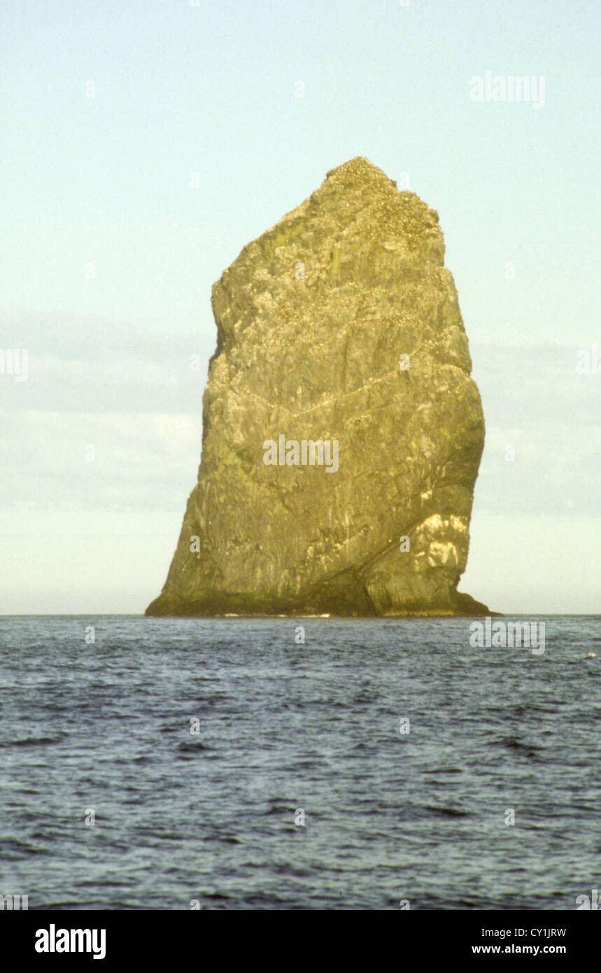 Towering Cliffs,Skies full of Sea birds,Scuba Diving,Seals,Subterranean ...