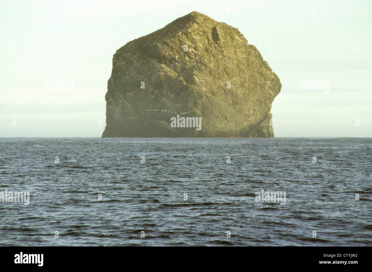 Towering Cliffs,Skies full of Sea birds,Scuba Diving,Seals,Subterranean ...