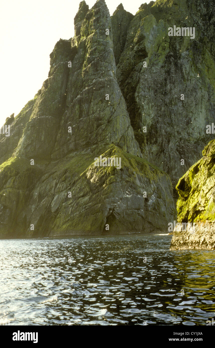 Towering Cliffs,Skies full of Sea birds,Scuba Diving,Seals,Subterranean ...