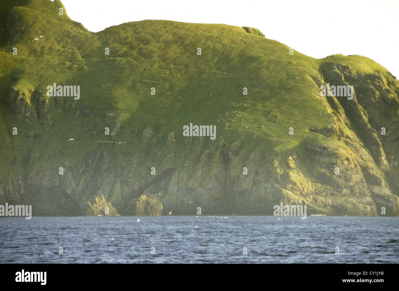 Towering Cliffs,Skies full of Sea birds,Scuba Diving,Seals,Subterranean ...